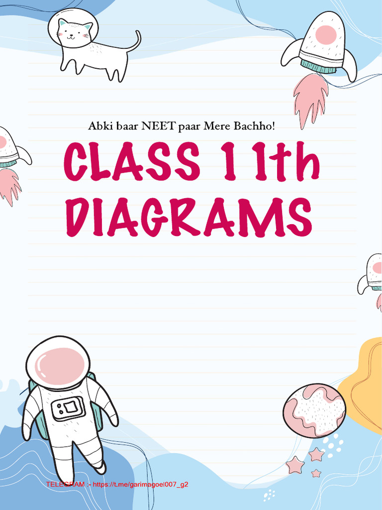 Class 11th Diagram | PDF
