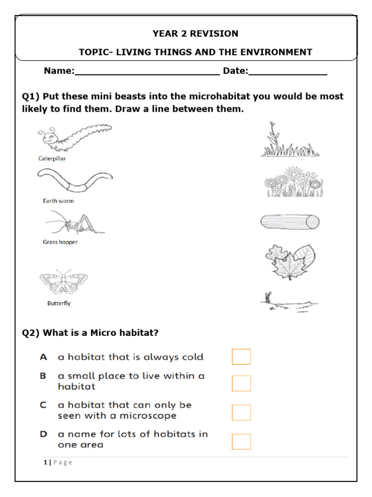 Year 2 Revision: Living Things & Habitats | PDF | Habitat | Biogeography