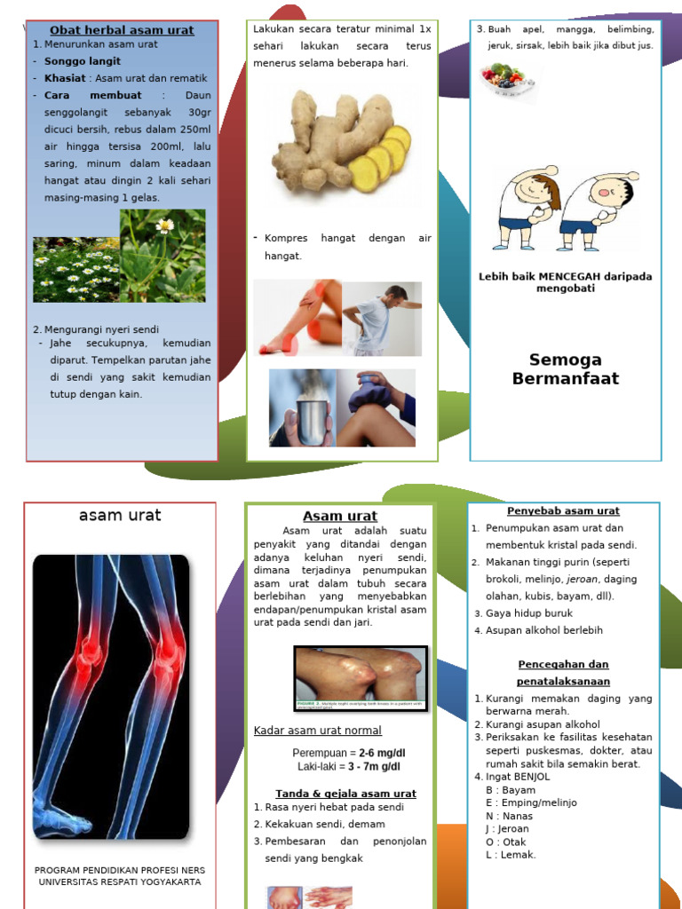 LEAFLET Penkes ASAM URAT | PDF