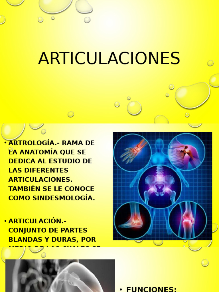 Tipos y Funciones de Articulaciones | PDF | Articulación | Sistema ...