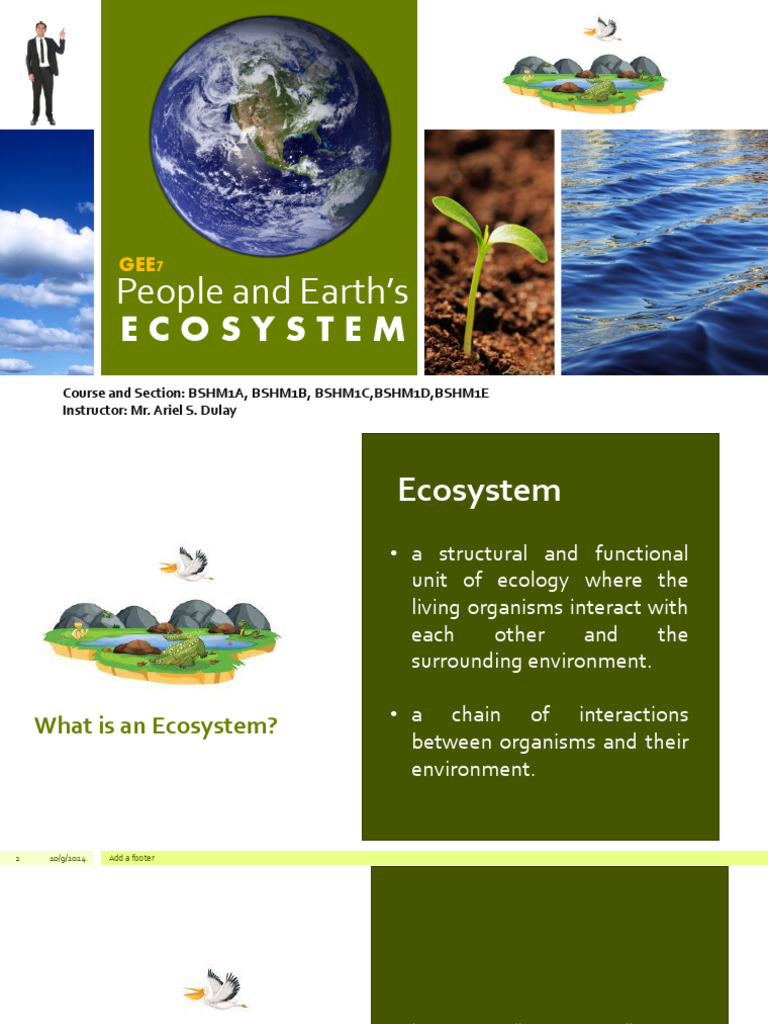 Understanding Ecosystems: Structure & Types | PDF | Ecosystem | Ecology
