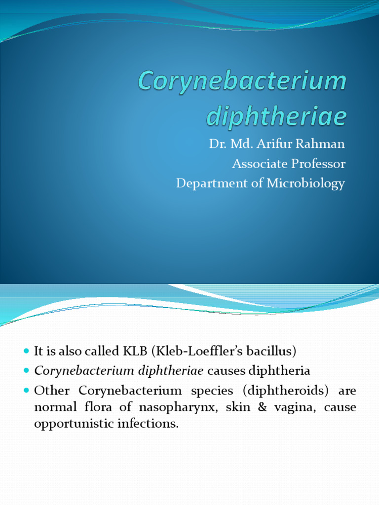 CORYNEBACTERIUM DIPHTHERIAE, With All The Characters | PDF | Medical ...