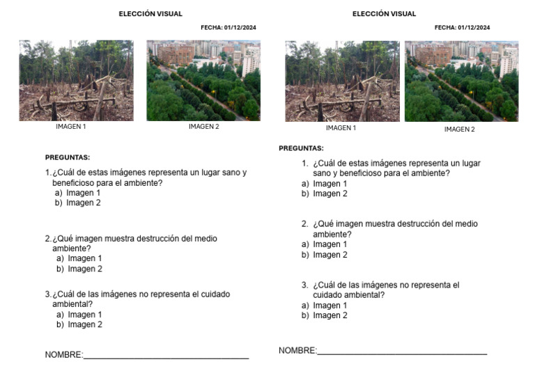 Evaluación Visual del Medio Ambiente | PDF