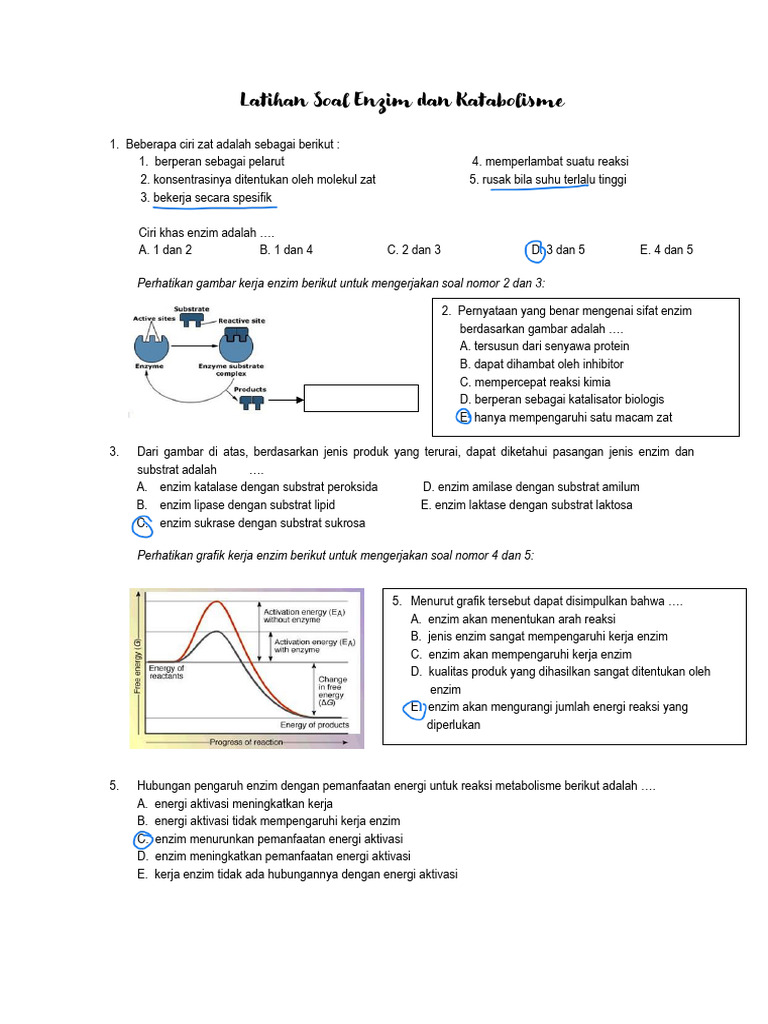 Latihan Soal Enzim Dan Katabolisme | PDF