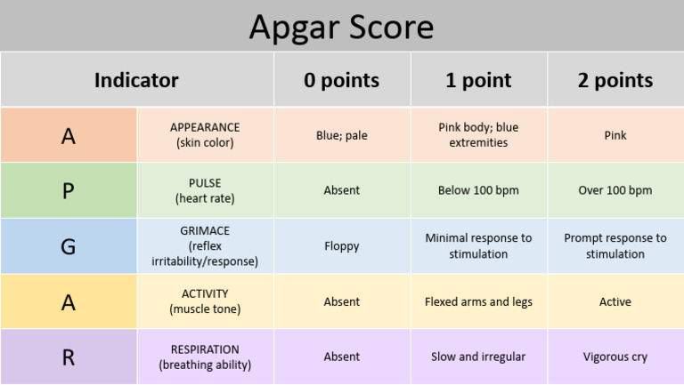 Apgar Scoring Protocol | PDF