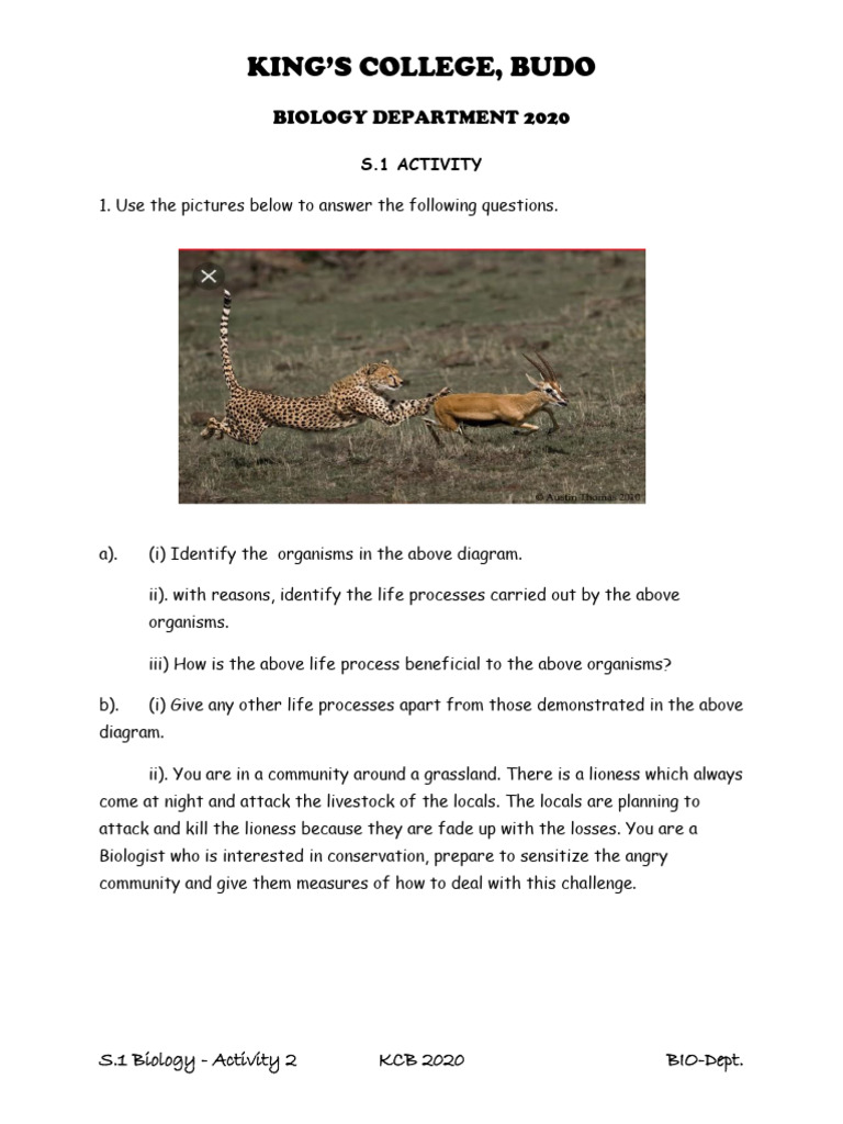 S.1 Biology Activity Guide 2020 | PDF | Biology