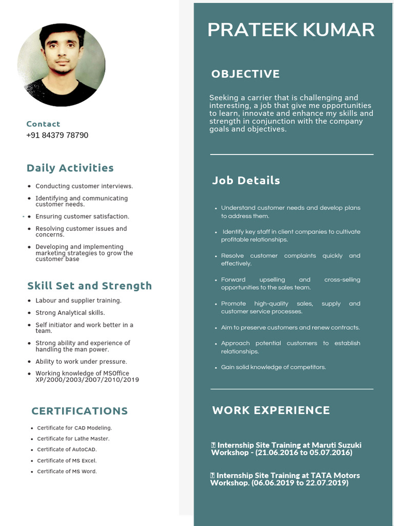 P Resume | PDF