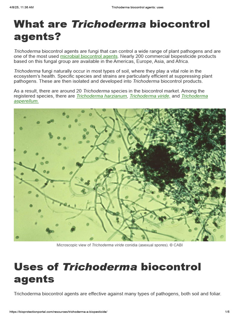 Trichoderma Biocontrol Agents - Uses | PDF | Fungus | Biological Pest Control