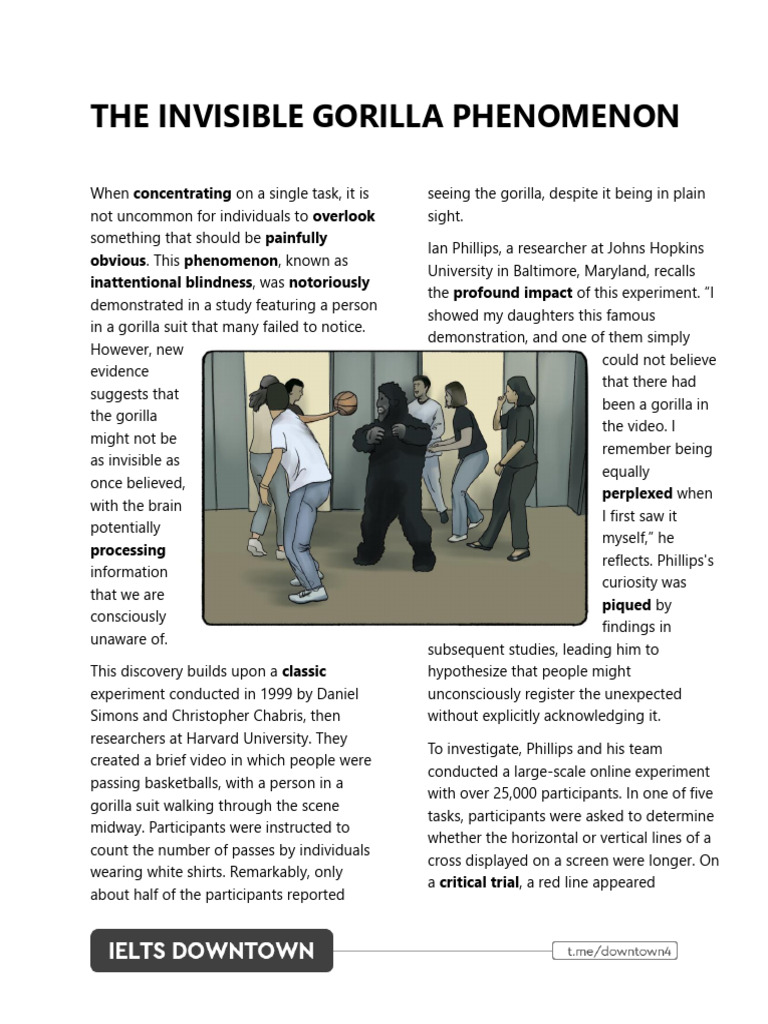 Insights on the Invisible Gorilla Experiment | PDF | Cognitive ...