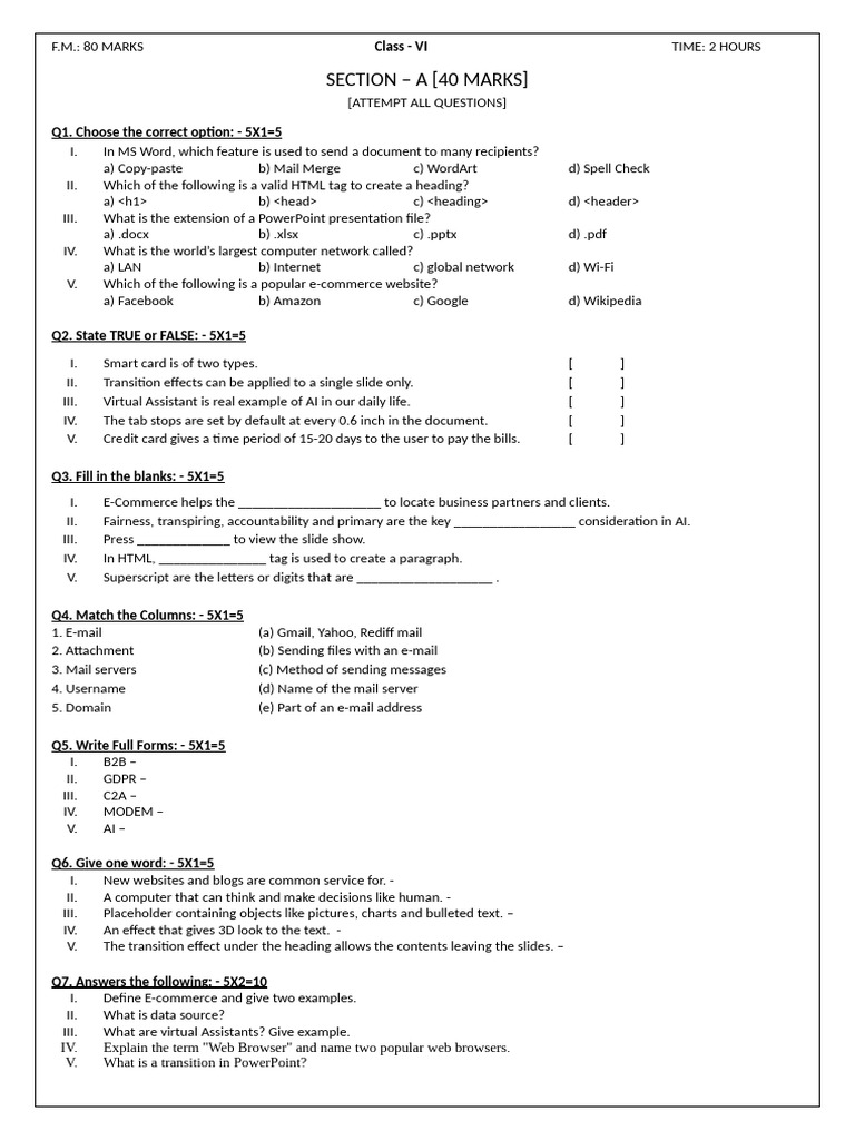 Class 6 ICSE QP Final Term | PDF | Computing | Internet
