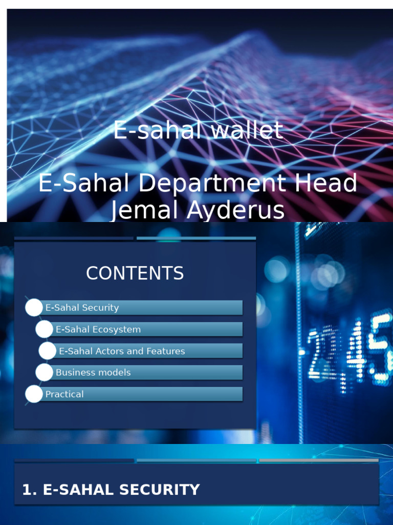 E-Sahal Wallet Overview and Features | PDF | Computer Network | Internet
