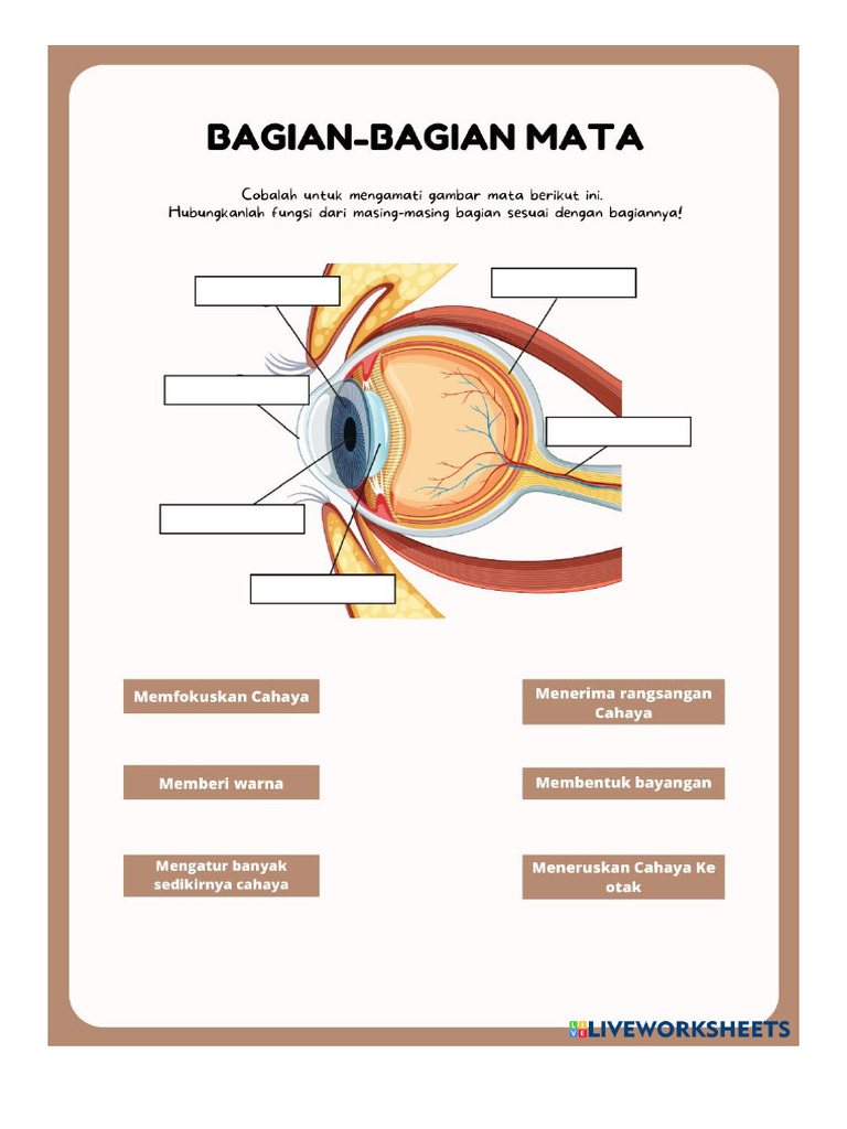 LK MTK Bagian Mata | PDF