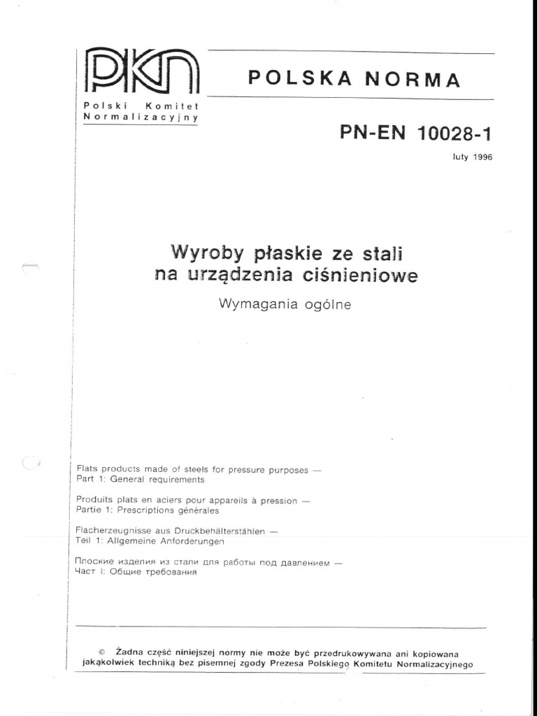 PN-EN 10028-1 | PDF