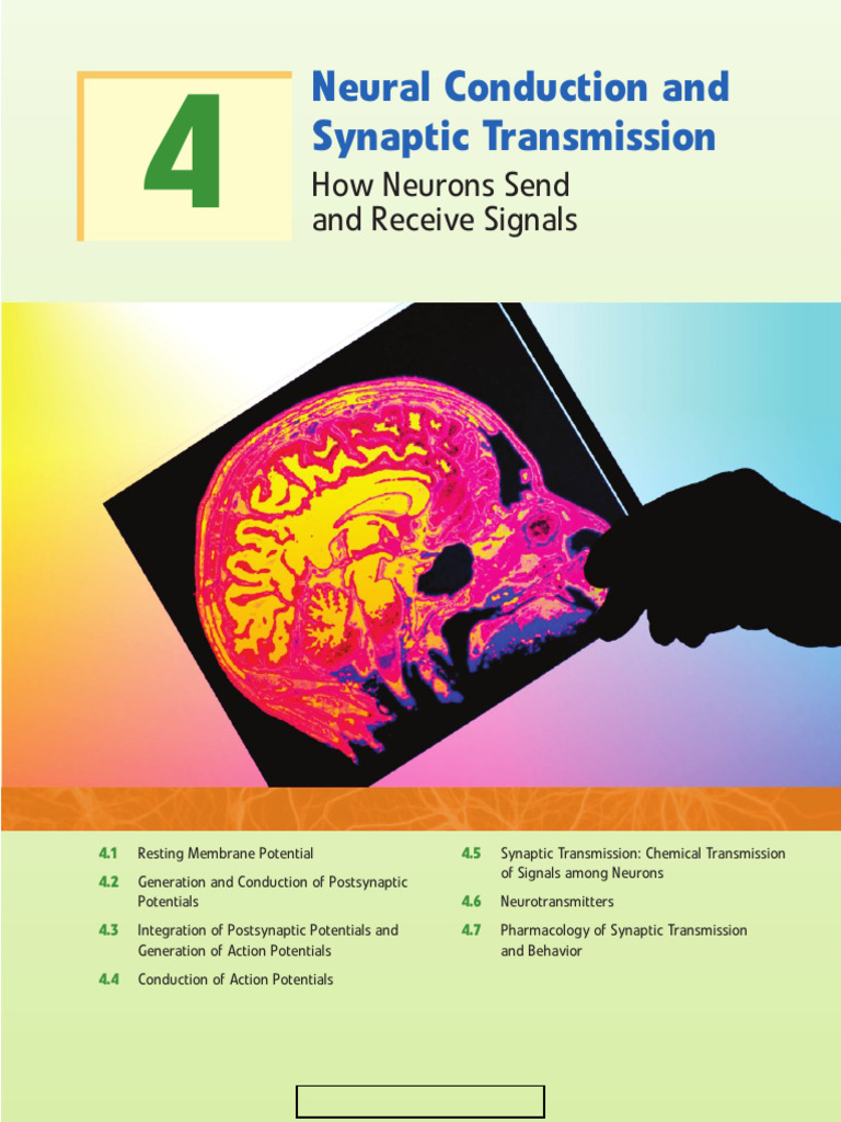 Neural Conduction and Synaptic Transmission | PDF | Inhibitory Postsynaptic Potential | Chemical ...