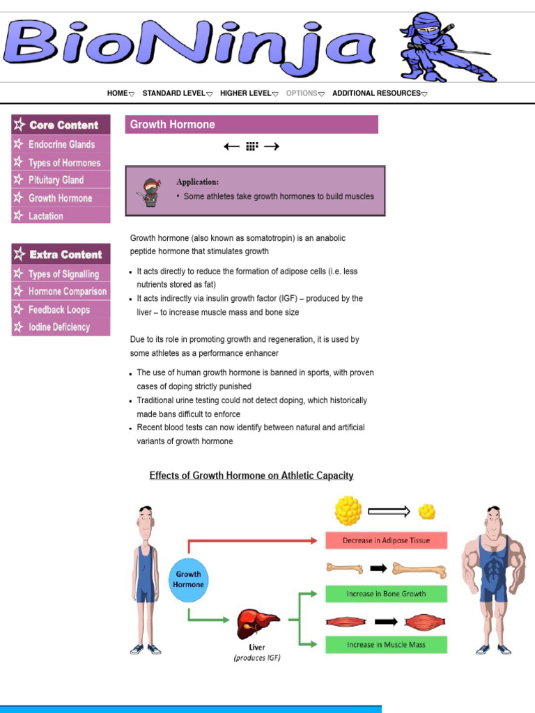 Growth Hormone BioNinja | PDF