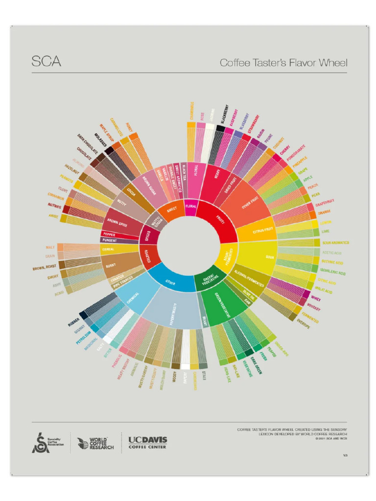 Flavor Wheel | PDF