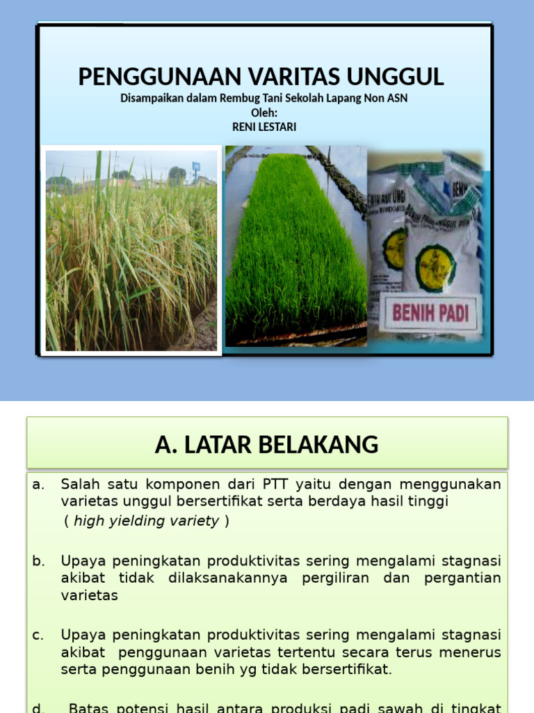 Teknologi Benih Padi | PDF