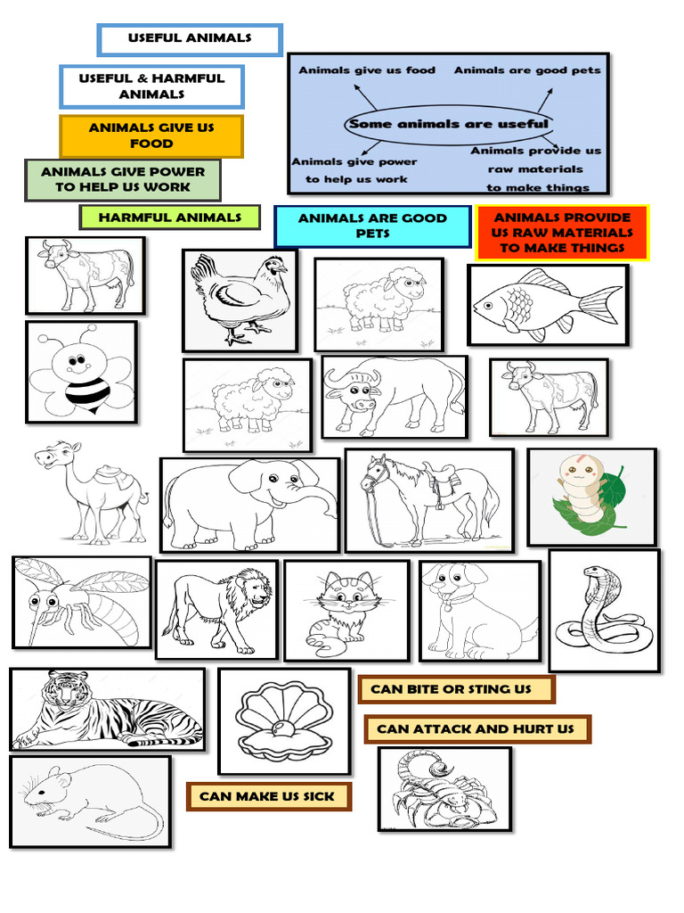Useful and Harmful Animals Explained | PDF