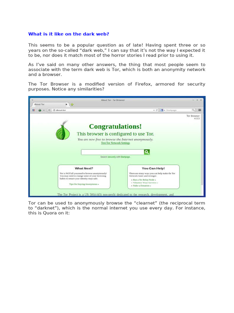 What Is It Like On The Dark Web | PDF | Social Information Processing ...