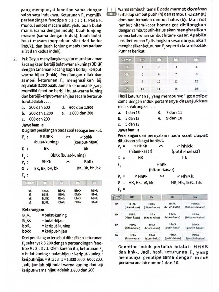 Soal persilangan | PDF