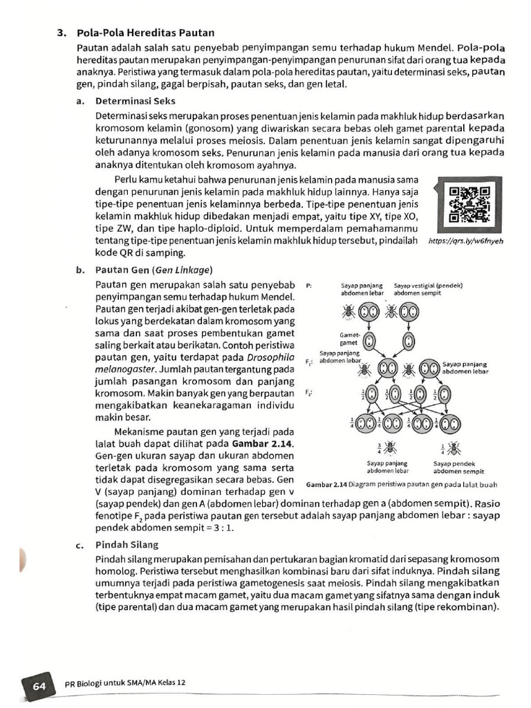 Pola Hereditas Pautan (2) | PDF