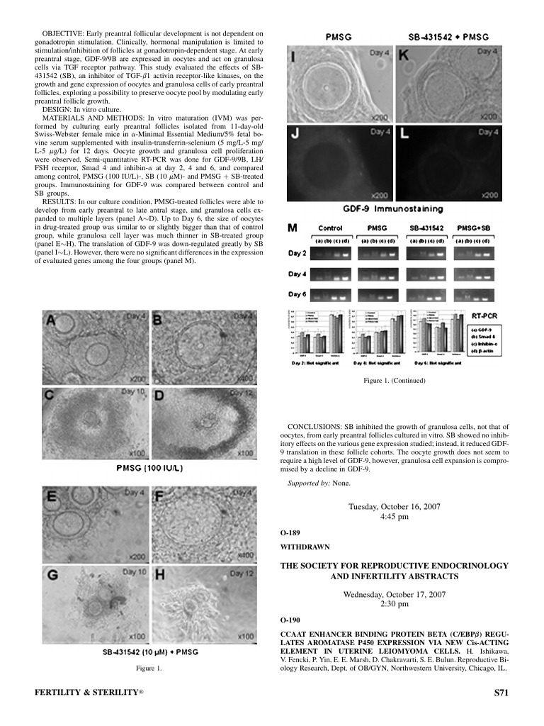 CCAAT Enhancer Binding Protein Beta | PDF | Cell Signaling | Promoter ...