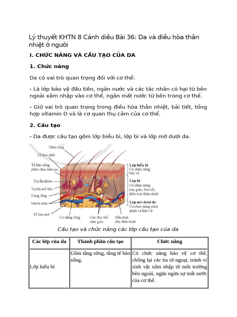 KHTN 8 Bài 39,40 Da + Sinh S N | PDF