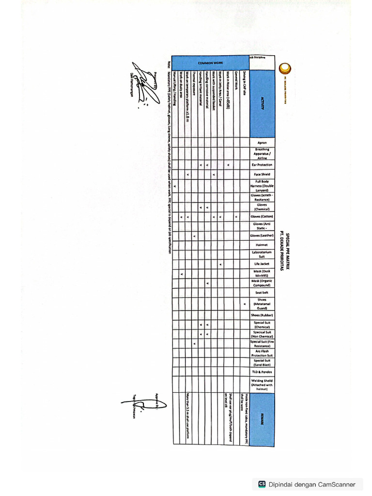 (B) PPE Matrix | PDF