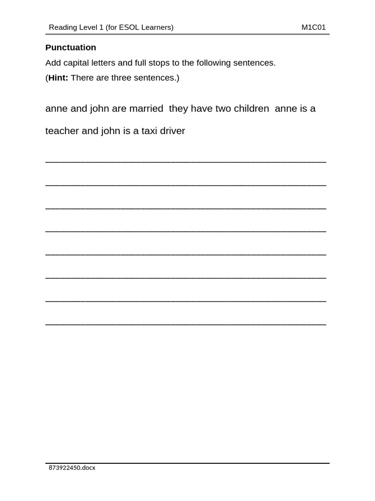 M1C01 LO3 005 Punctuation | PDF