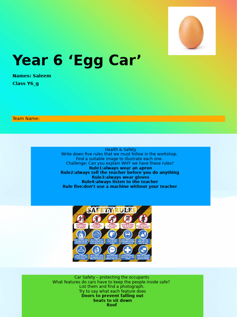 Student Egg-Car Assignment Portfolio | PDF