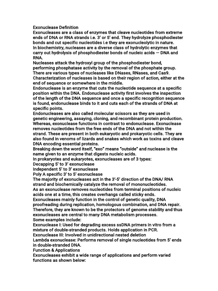 Exonucleases: Functions and Importance | PDF | Taq Polymerase ...