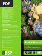 BSP Visa Debit Card Features | PDF | Debit Card | Visa Inc.