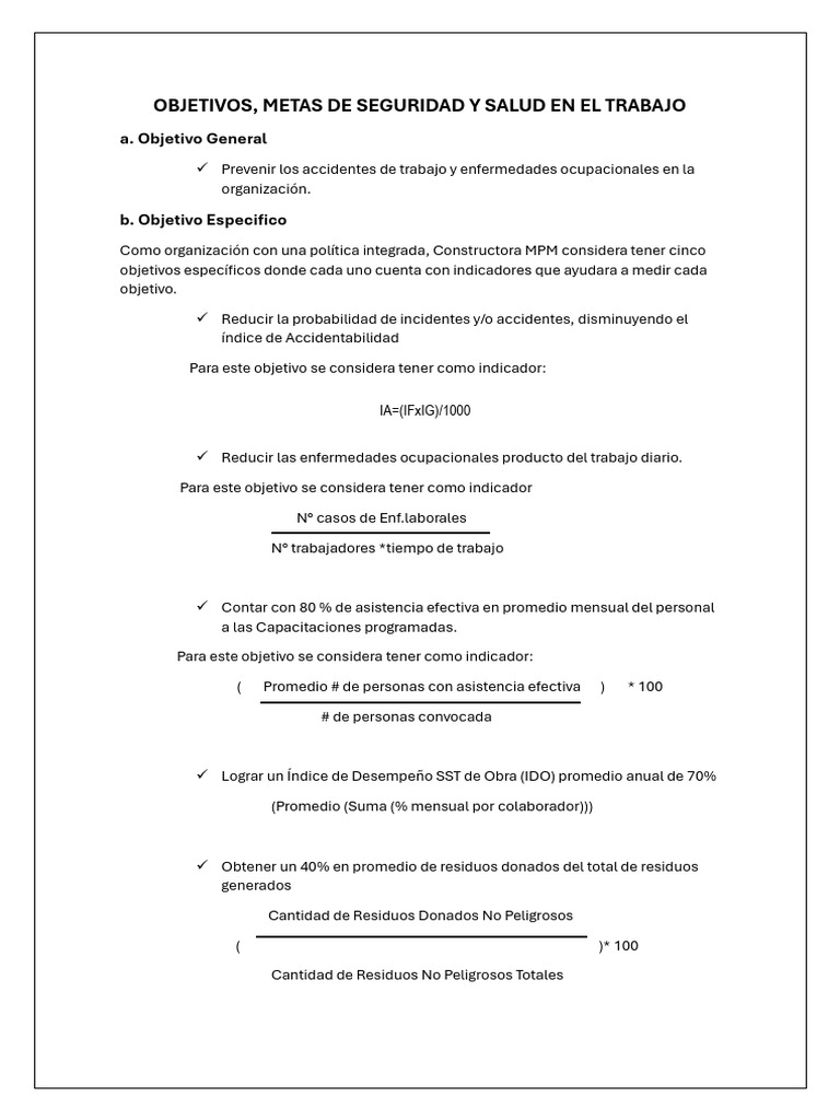 OBJETIVOS y PLAN SSO | PDF