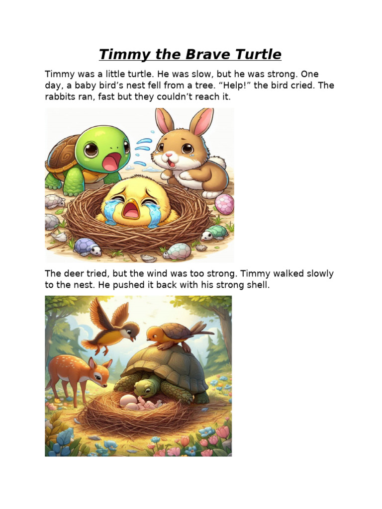 Timmy The Brave Turtle Grade 1 Story | PDF