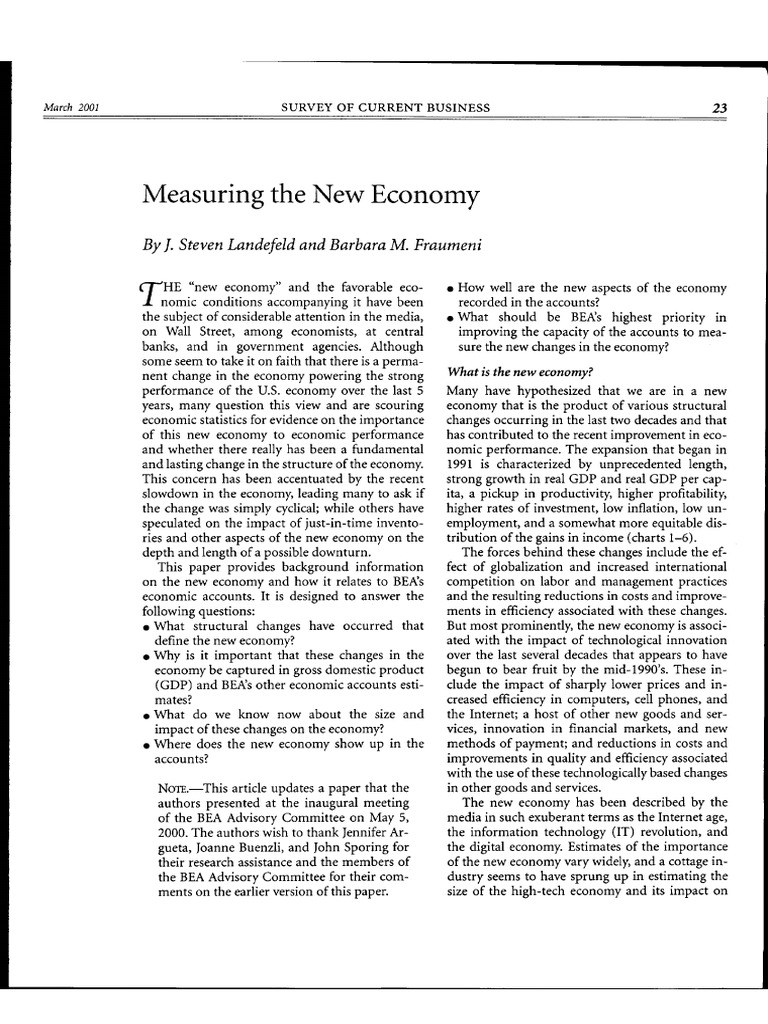 Measuring The New Economy | PDF