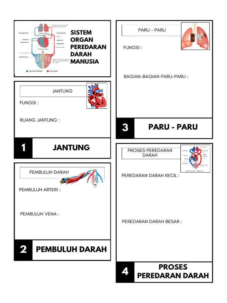 Salinan Dari Black and White How To Build A Snowman Printable Flip Book ...