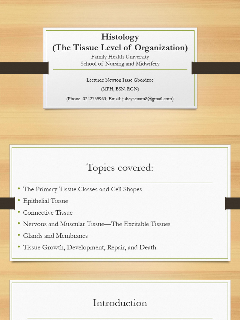Overview of Connective Tissue Functions | PDF | Epithelium | Connective ...