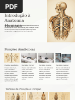 Resumo de Anatomia Humana | PDF | Anatomia | Nervo