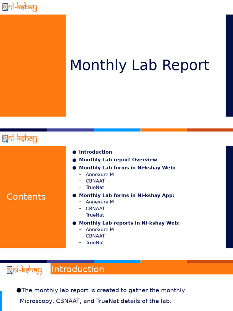 Monthly Lab Report - Oct23 | PDF | Computing | Cyberspace