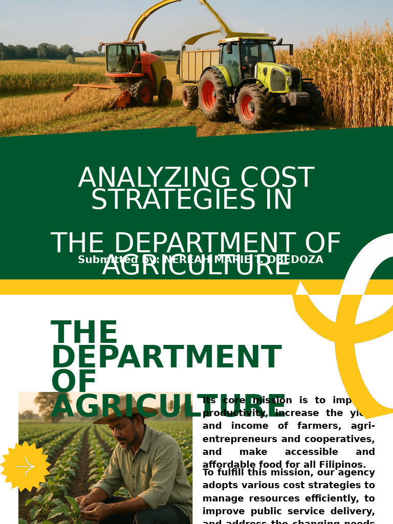 Obedoza, Nereah Marie T. - Analyzing Cost Strategies in The Department of Agriculture | PDF