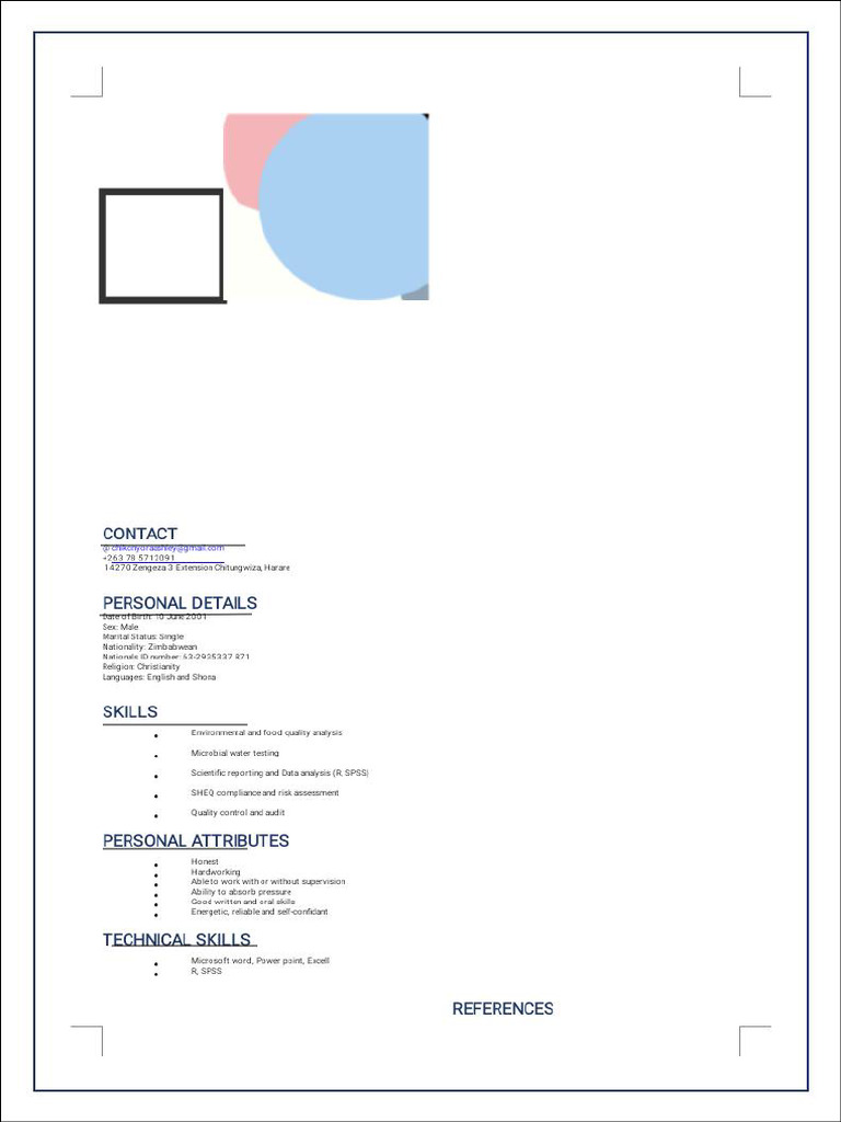 Word2pdf Ashley Chikonyora CV 1733913456489 | PDF