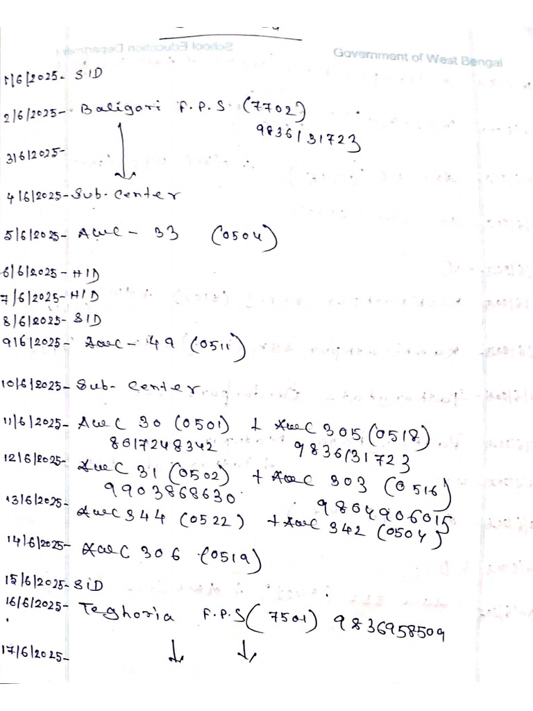 Microplan June 2025 | PDF