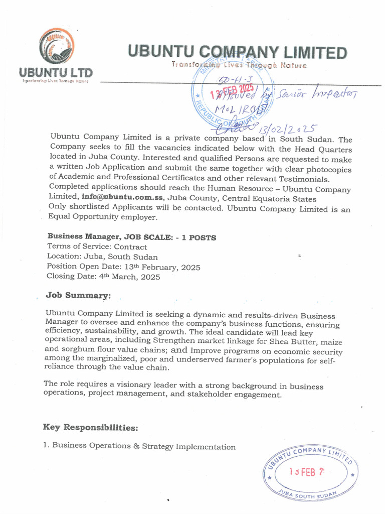 Business Manager Job Advert | PDF