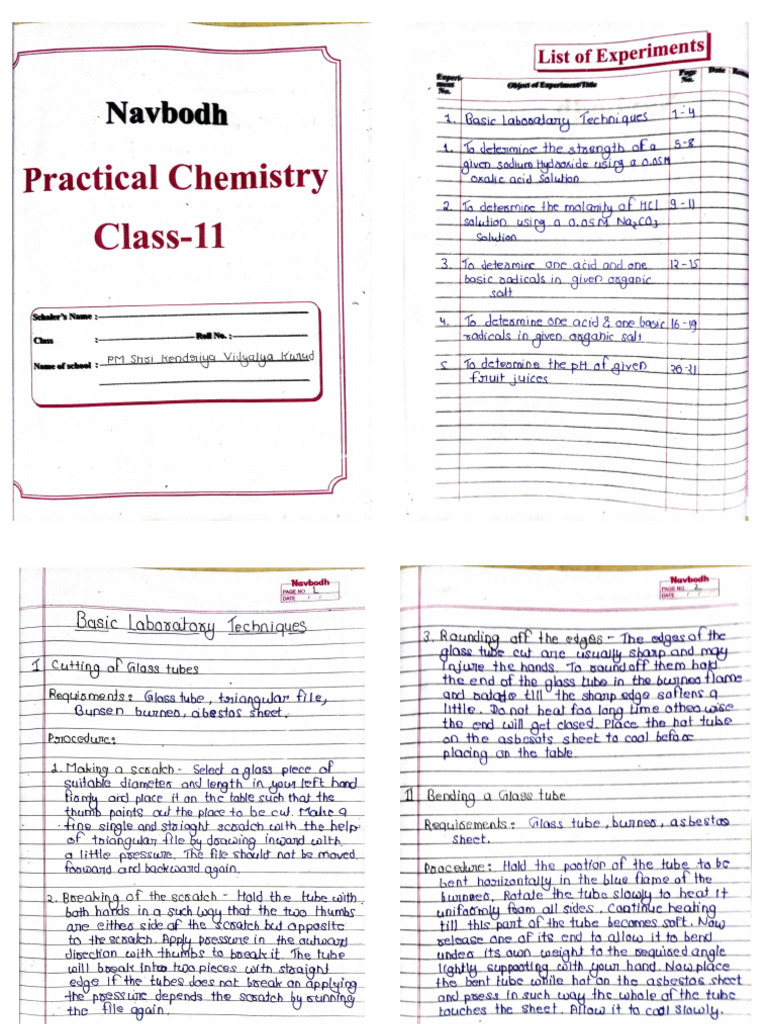 Class 11 Chemistry Practical | PDF