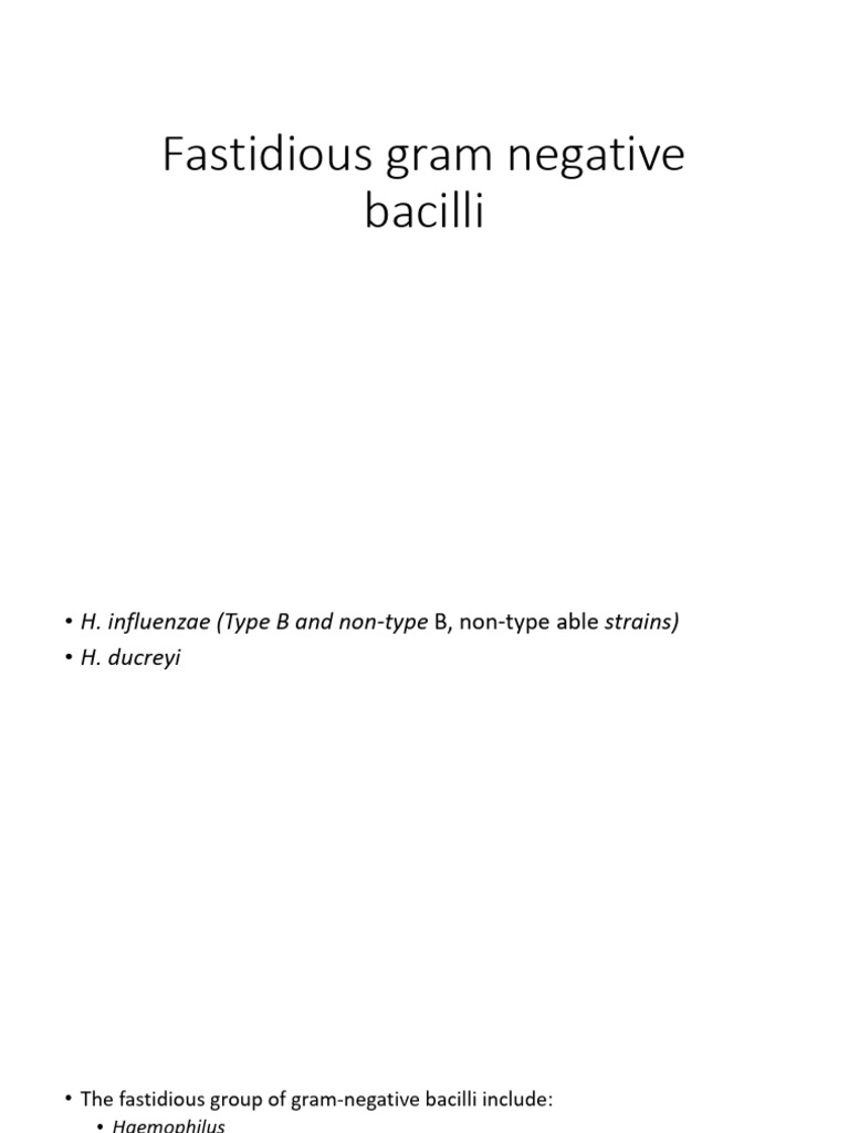 Fastidious Gram Negative Bacilli | PDF | Human Diseases And Disorders | Microbiology