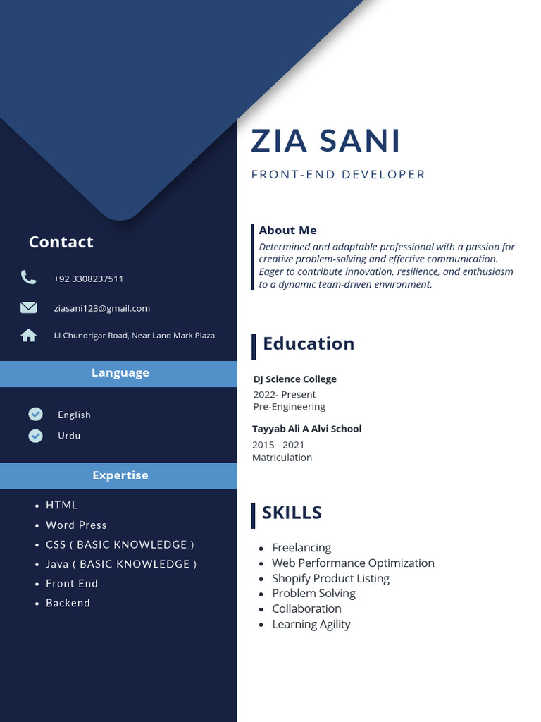 Zia Sani Resume | PDF