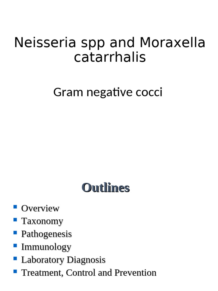 Neisseria SPP and Moraxella Catarrhalis | PDF | Microbiology | Immunology