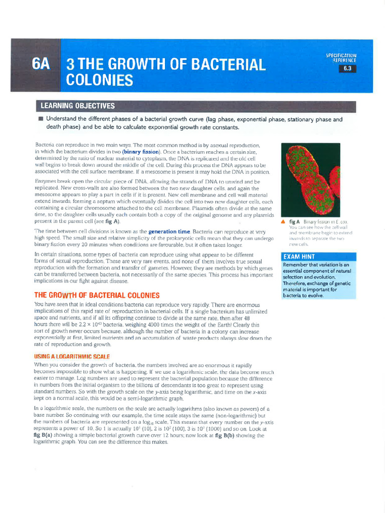 Experiments & Analysis (Unit -4) (1) | PDF