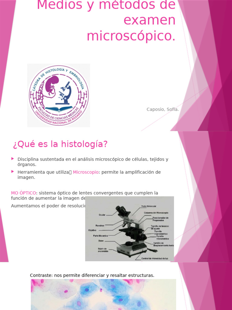 Métodos de Examen Microscópico en Histología | PDF