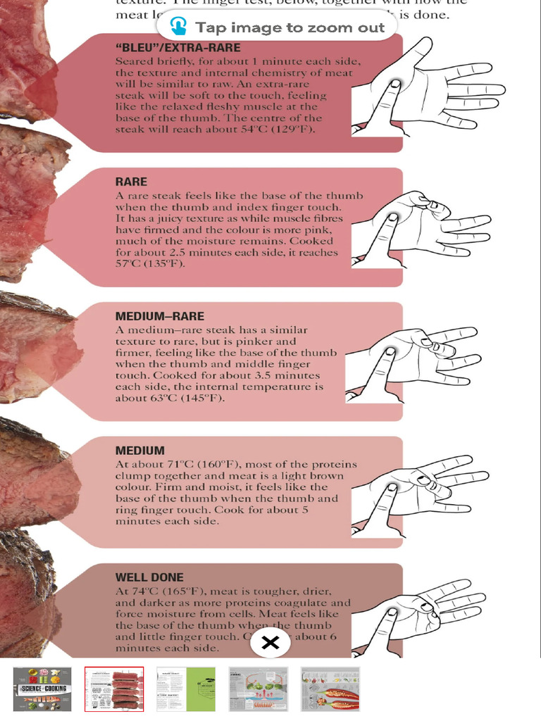 The Science of Cooking by DK | PDF